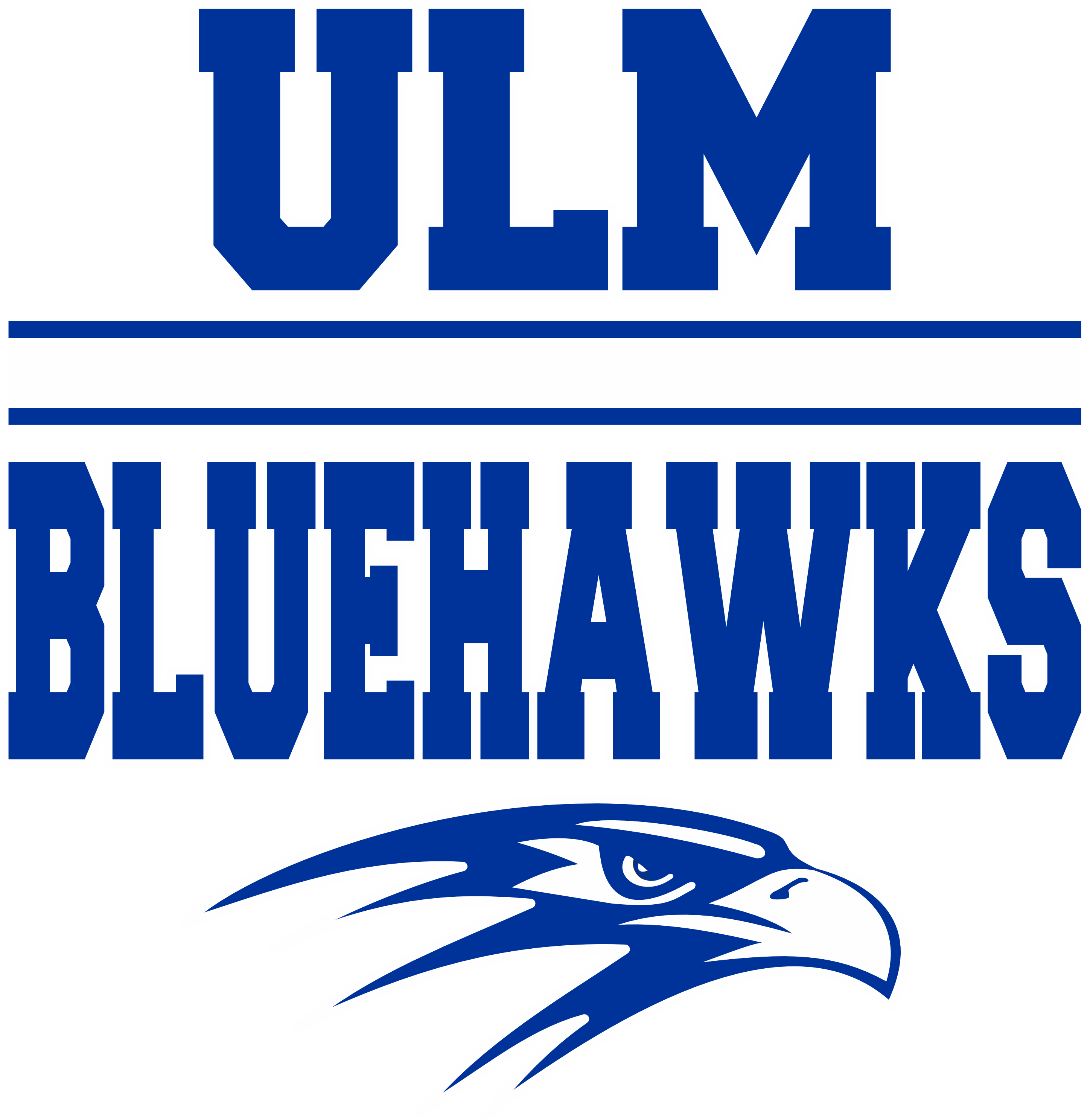 Ulm Bluehawks – Badger Track Customs